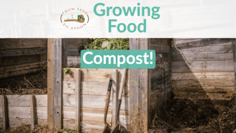 Turn Your Kitchen Scraps and Waste into Plant Gold by Composting ...
