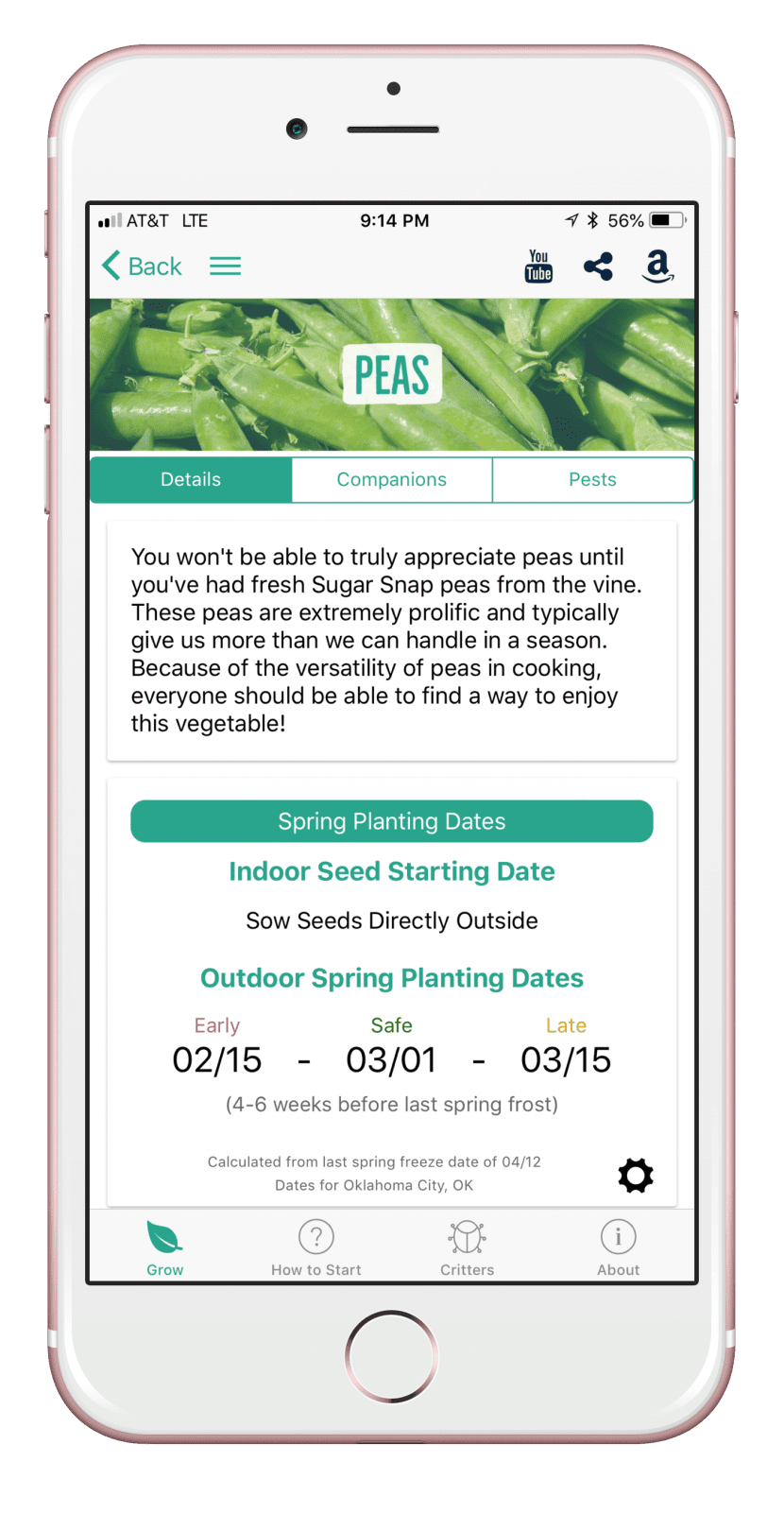 Peas: How to Grow and When to Plant in Your Backyard or Patio Garden ...