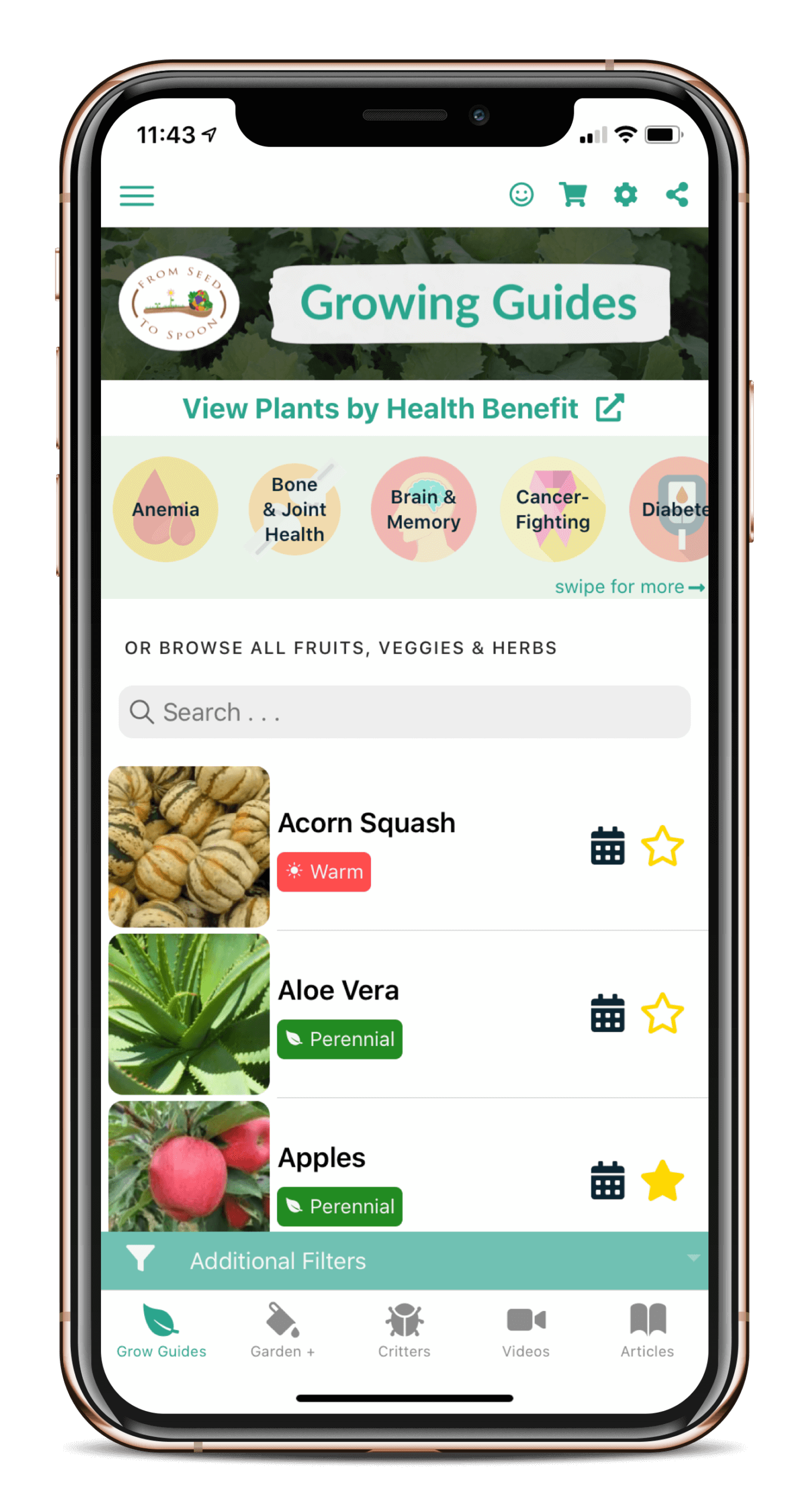 Luffa (Loofah): How to Grow and When to Plant in Your Backyard or Patio ...