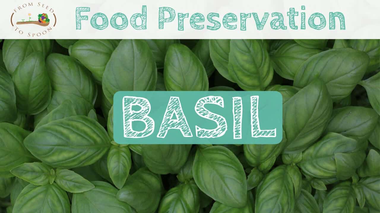 How We Keep an Unlimited Supply of Basil Year-Round with Preservation ...