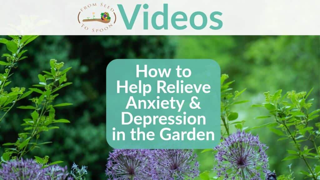 How to Help Relieve Anxiety & Depression in the Garden – From Seed to ...