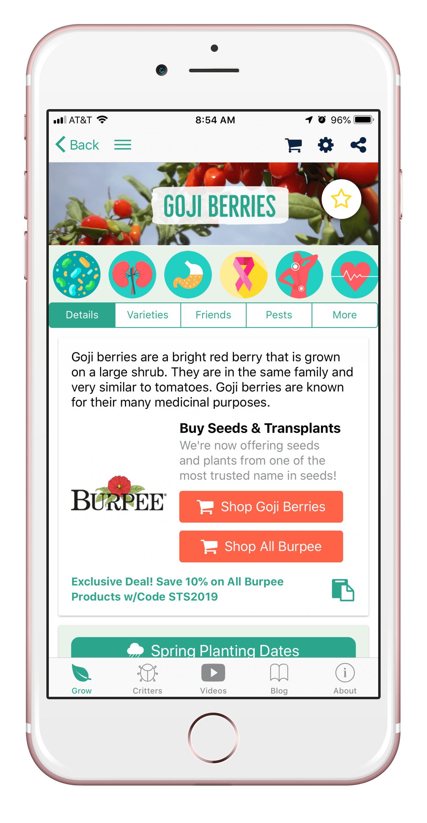 Goji Berries: How to Grow and When to Plant in Your Backyard or Patio ...