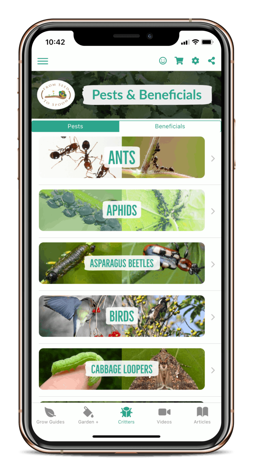 Q&A – Is It Safe to Use Compost from a Municipal Compost Facility ...