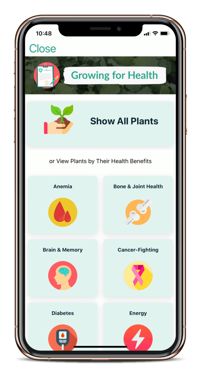 Top 5 Plants to Grow to Help Improve Your Anxiety & Depression – From ...