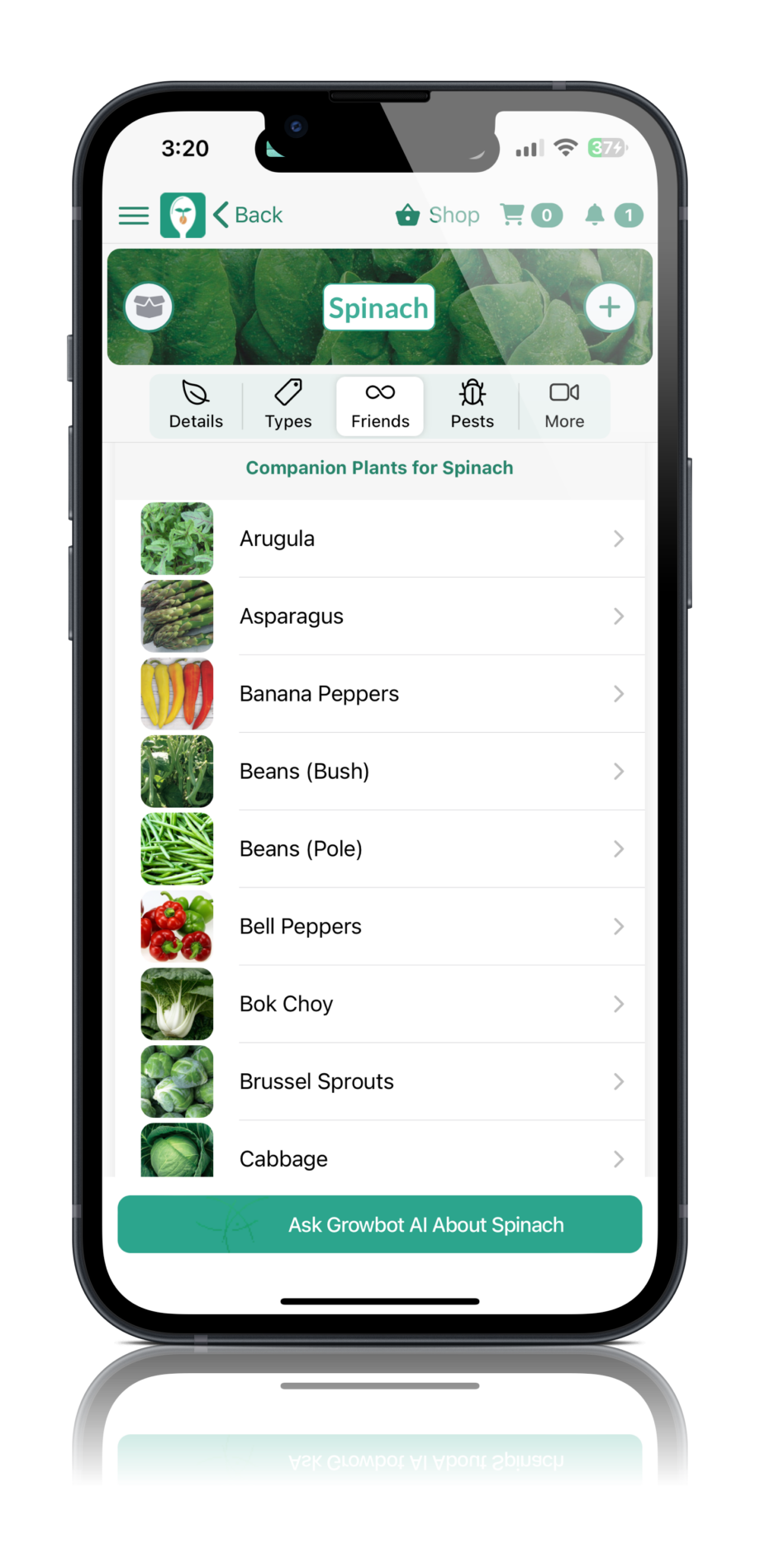 Unlock the Power of Companion Planting with Our Free Gardening App ...
