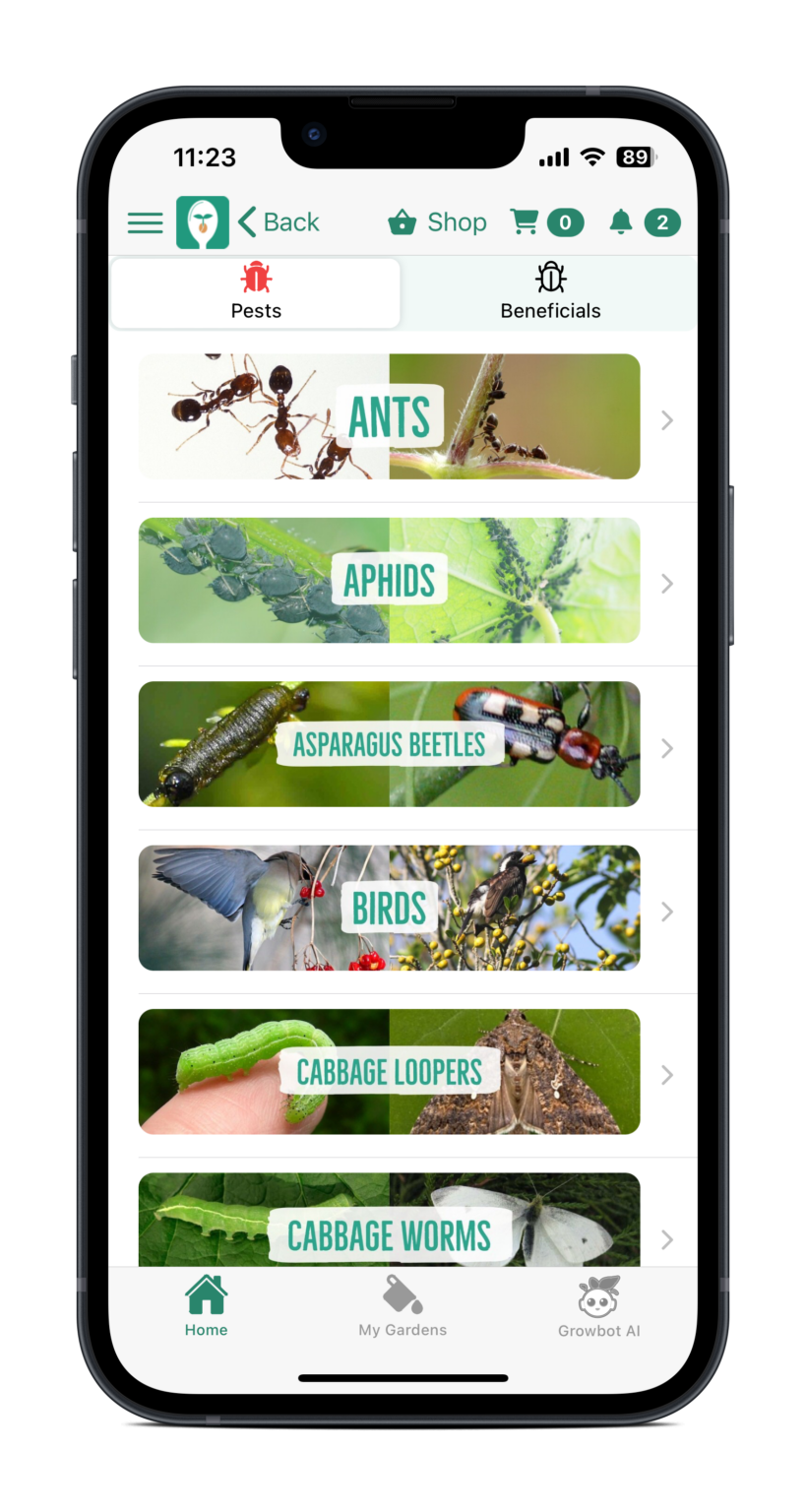 App Highlights – From Seed to Spoon Vegetable Garden Planner Mobile App