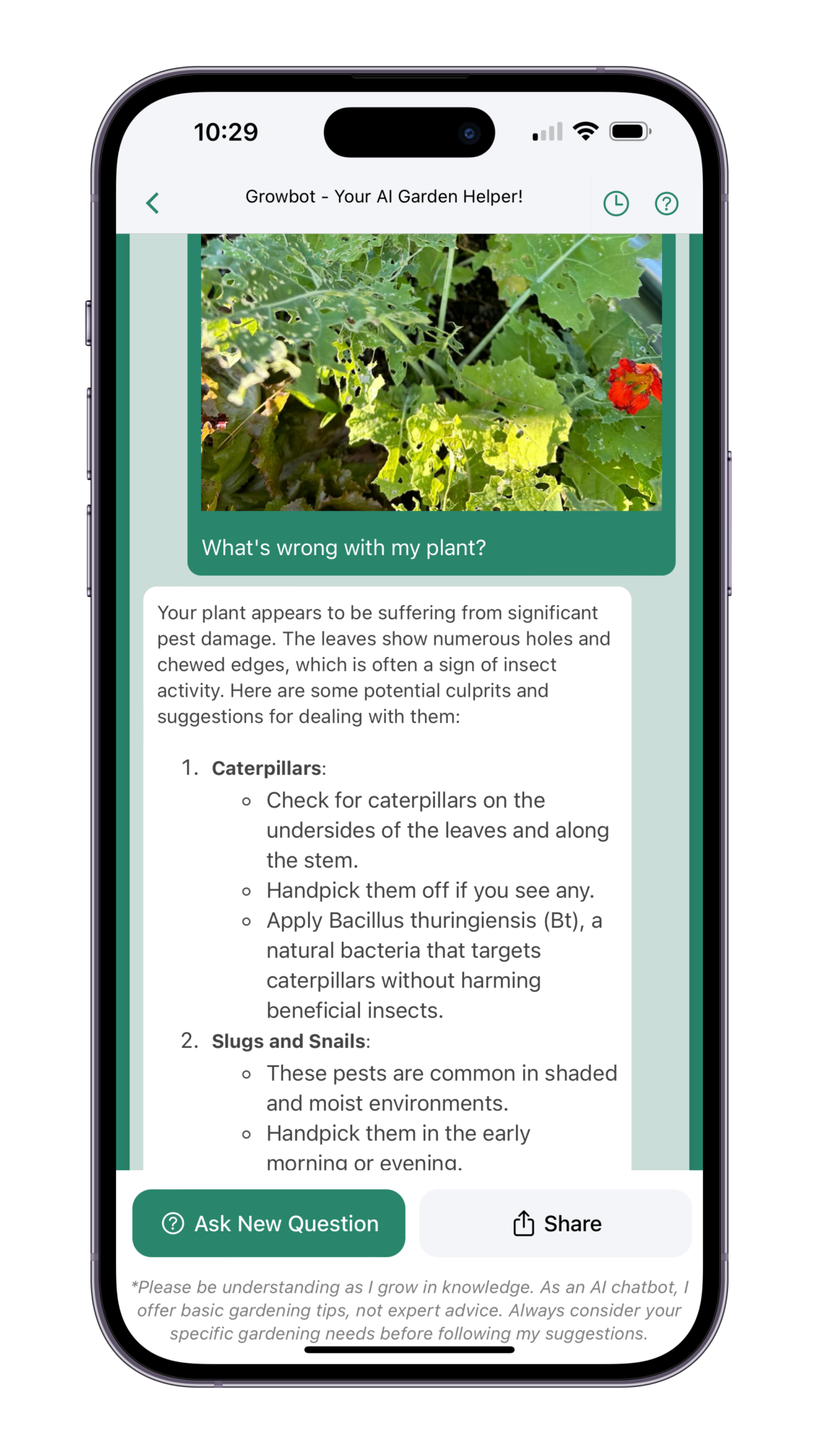 From Seed to Spoon Vegetable Garden Planner Mobile App – From Seed to ...