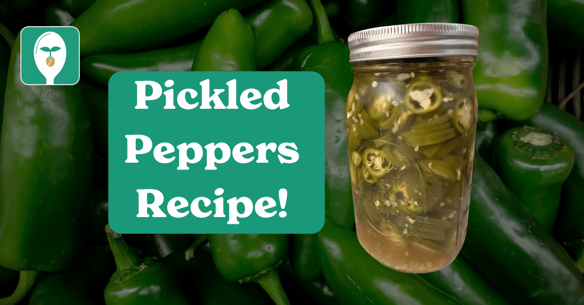 Quick & Easy Pickled Peppers Recipe 🌶️ – From Seed to Spoon Vegetable ...