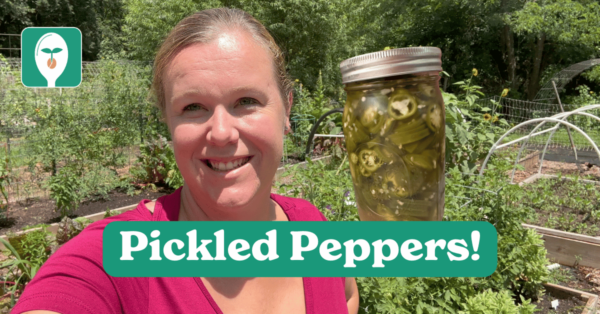 Quick & Easy Pickled Peppers! – From Seed to Spoon Vegetable Garden ...
